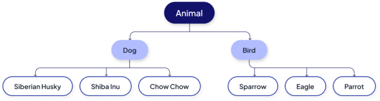 Image Classification in Machine Learning: A Complete Guide - unidata.pro