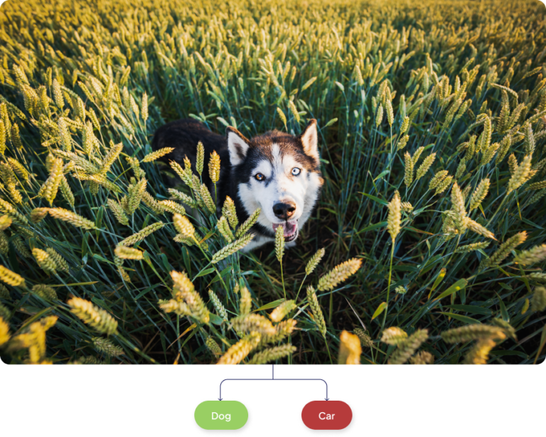 Image Classification in Machine Learning: A Complete Guide - unidata.pro