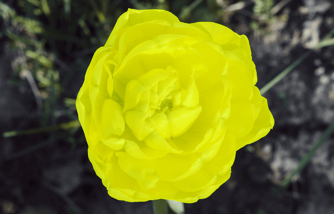 Annotating with Polygons: Best Practices - unidata.pro