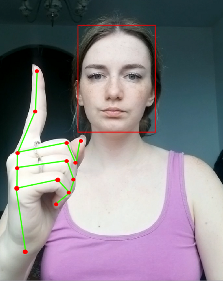 Gesture Recognition Dataset | 10,000 Videos - unidata.pro