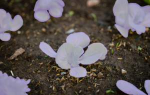 Annotating with Polygons: Best Practices - unidata.pro