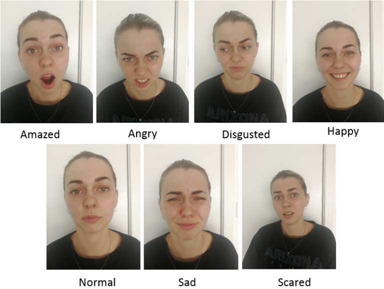 Facial Expression Recognition Dataset | 199 955 Images - unidata.pro