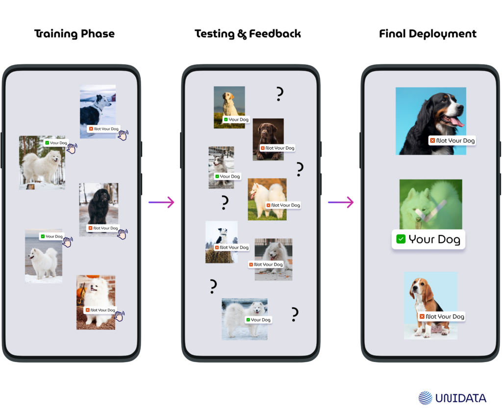 What is Supervised Learning? Complete guide - unidata.pro