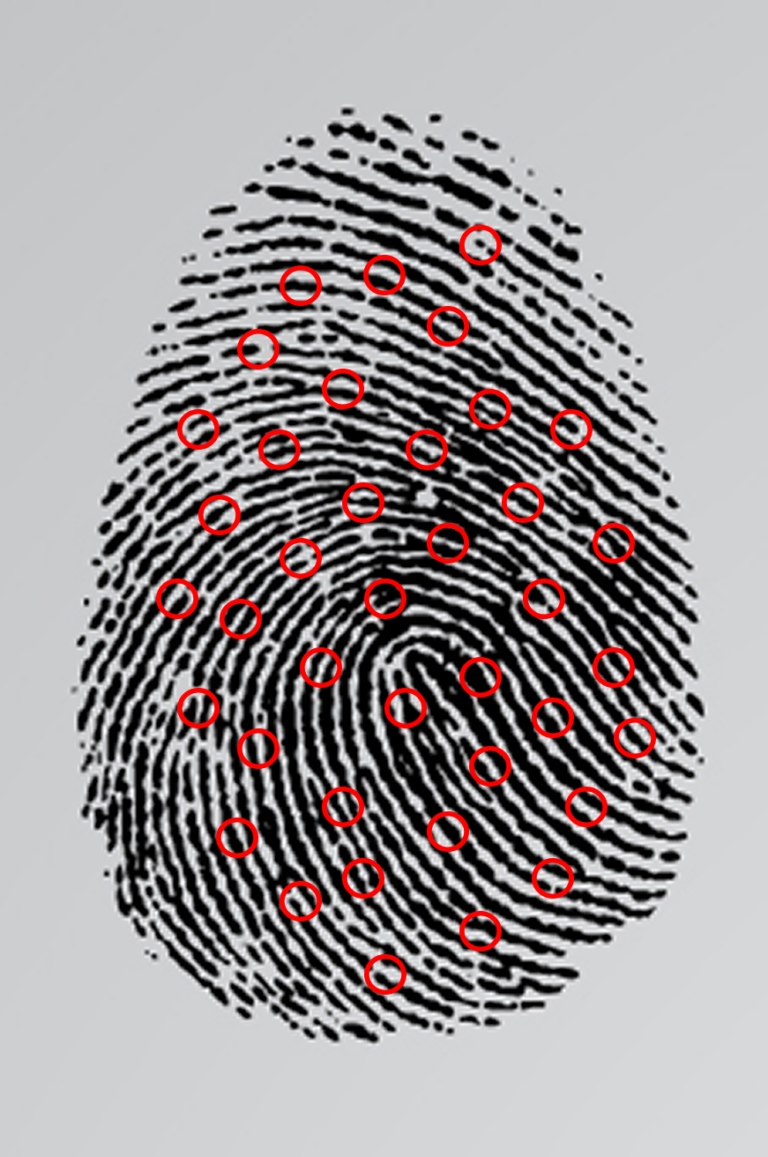 Forensic Fingerprint Dataset | +6000 Photos - unidata.pro