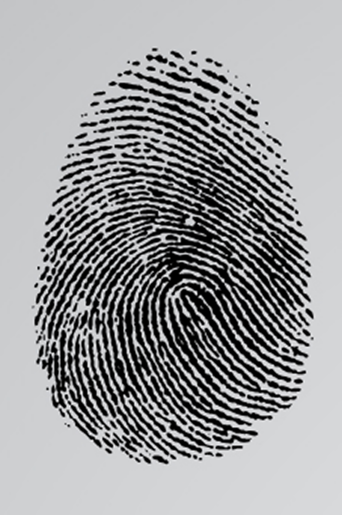 Facial Expression Recognition Dataset 199 955 Images Unidata Pro