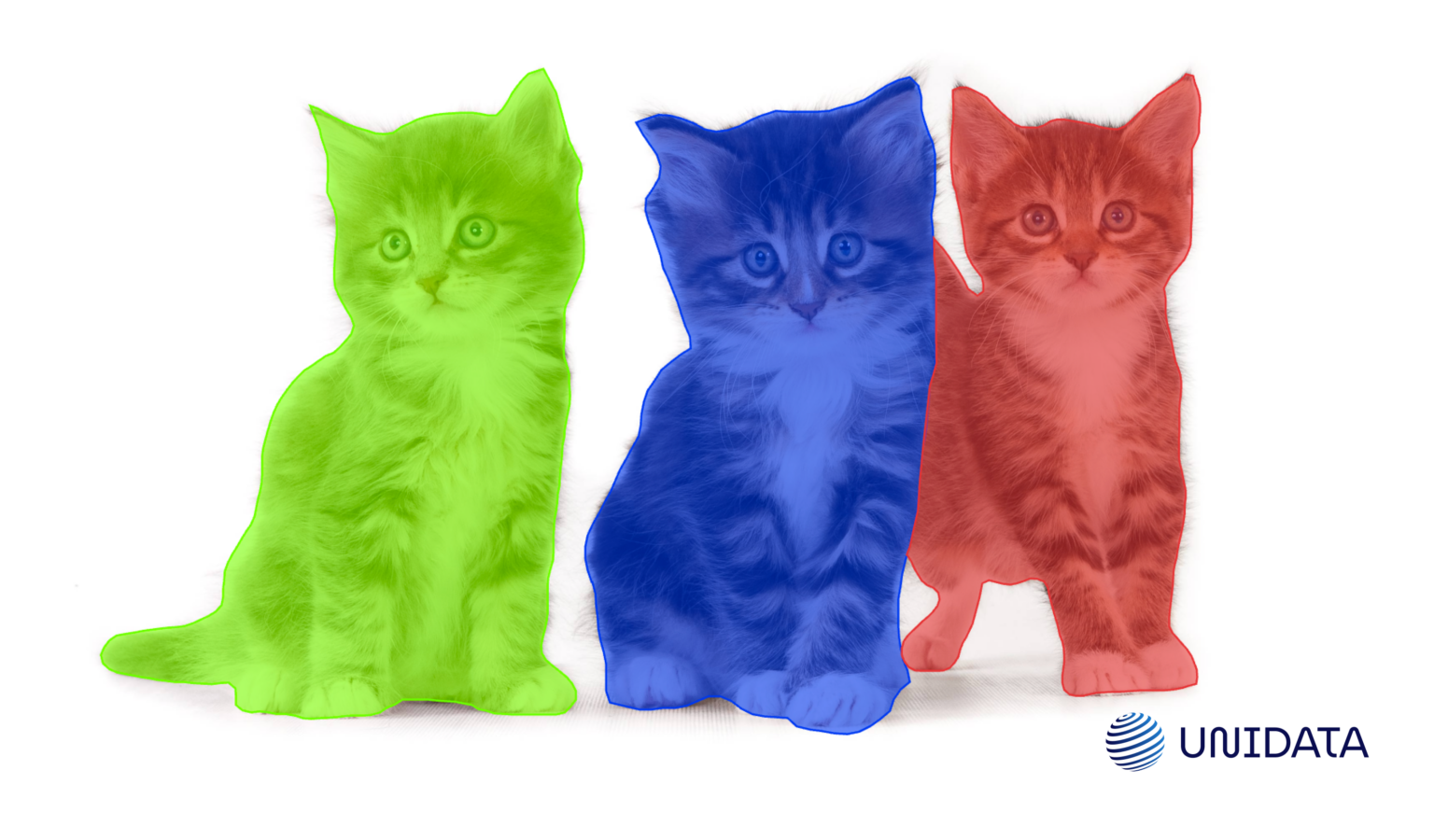 Panoptic Segmentation - Data Annotation Guide - unidata.pro