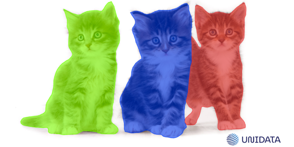 Image Classification in Machine Learning: A Complete Guide - unidata.pro